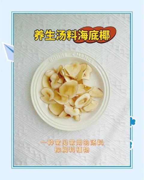 海底椰是寒性还是热性_海底椰适合什么人吃-第3张图片-山城妙识