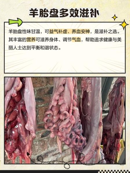 羊胎盘胶囊的功效与作用_羊胎盘胶囊适合什么人吃-第2张图片-山城妙识