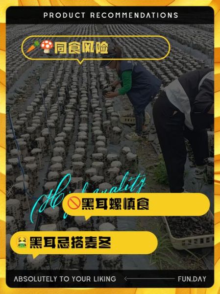 玉木耳不能和什么一起吃_玉木耳相克食物有哪些-第2张图片-山城妙识