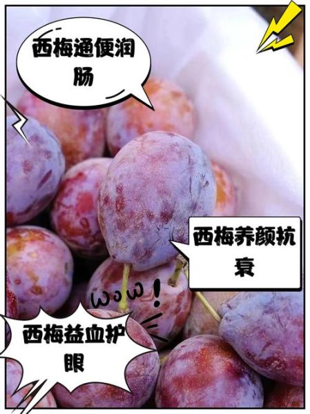 新鲜西梅多少钱一斤_西梅价格为什么波动大-第3张图片-山城妙识 新鲜西梅多少钱一斤_西梅价格为什么波动大-第3张图片-山城妙识