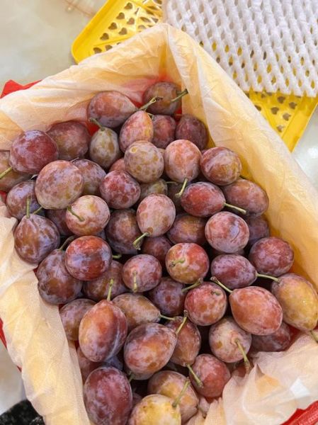 新鲜西梅多少钱一斤_西梅价格为什么波动大-第1张图片-山城妙识 新鲜西梅多少钱一斤_西梅价格为什么波动大-第1张图片-山城妙识