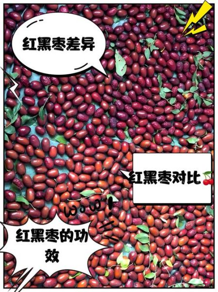 红枣和黑枣的区别_哪个补血效果更好-第1张图片-山城妙识