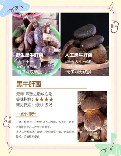 牛肝菌的功效与作用_牛肝菌怎么吃最好-第3张图片-山城妙识