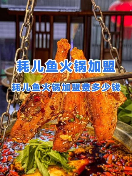鱼火锅加盟多少钱_鱼火锅加盟哪个品牌好-第3张图片-山城妙识 鱼火锅加盟多少钱_鱼火锅加盟哪个品牌好-第3张图片-山城妙识