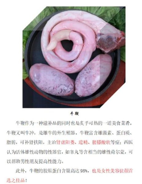 牛鞭长在什么部位_牛鞭真实照片长什么样-第2张图片-山城妙识