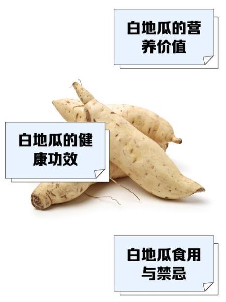 白地瓜的禁忌人群有哪些_白地瓜吃多了有什么副作用-第2张图片-山城妙识 白地瓜的禁忌人群有哪些_白地瓜吃多了有什么副作用-第2张图片-山城妙识