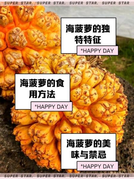 海菠萝怎么吃_海菠萝吃法大全-第1张图片-山城妙识