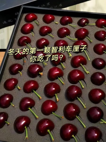 车厘子冬天吃是反季吗_冬天吃车厘子好吗-第2张图片-山城妙识