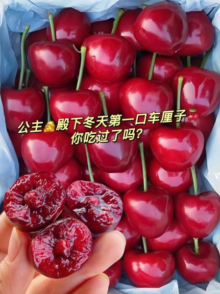 车厘子冬天吃是反季吗_冬天吃车厘子好吗-第3张图片-山城妙识