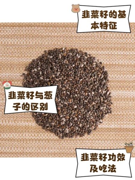 韭菜籽怎么种发芽快_韭菜籽几天能发芽-第3张图片-山城妙识