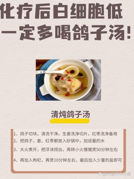 鸽子汤怎么炖好喝_鸽子汤的家常做法-第3张图片-山城妙识