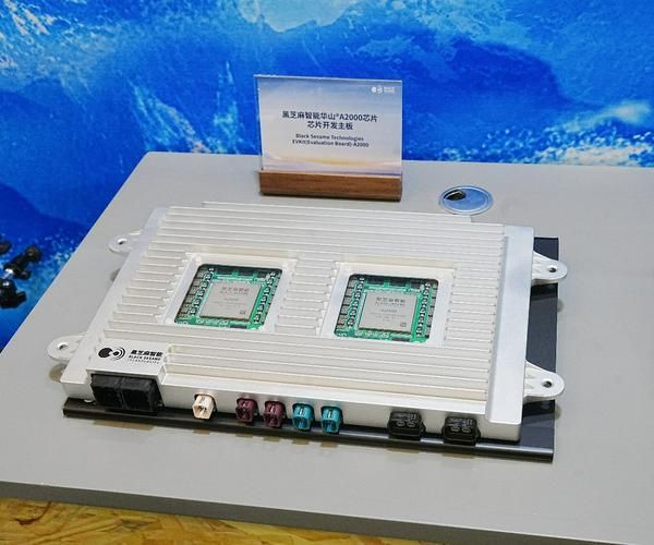 黑芝麻智能科技怎么样_黑芝麻芯片用在哪些车-第3张图片-山城妙识