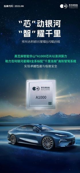黑芝麻智能科技怎么样_黑芝麻芯片用在哪些车-第2张图片-山城妙识