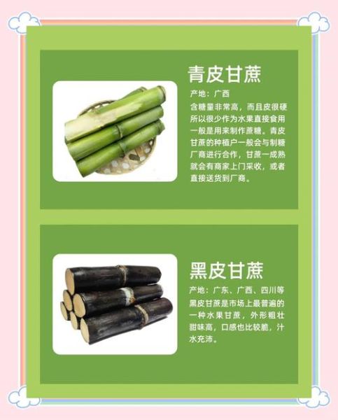 甘蔗产地在哪里_中国甘蔗主产区有哪些-第2张图片-山城妙识