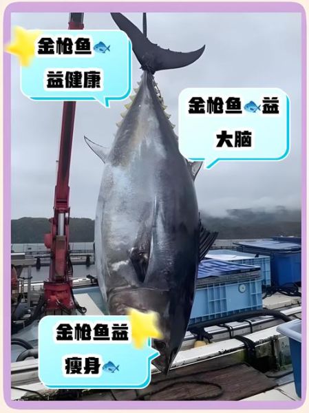 金枪鱼的营养价值及功效与禁忌_孕妇能吃吗-第2张图片-山城妙识