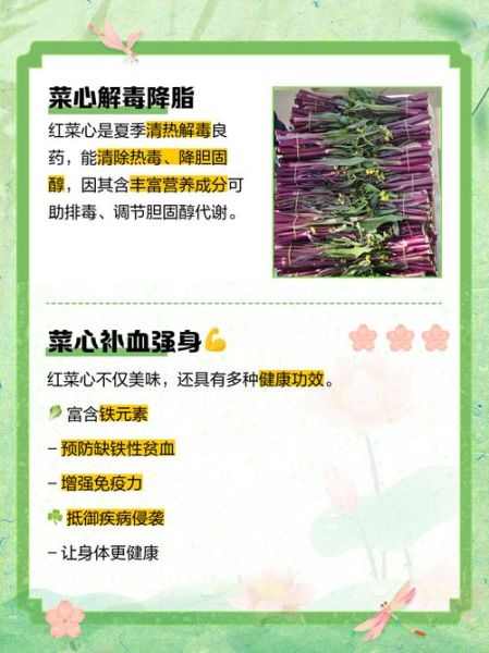 菜心的功效与禁忌_什么人不能吃菜心-第3张图片-山城妙识