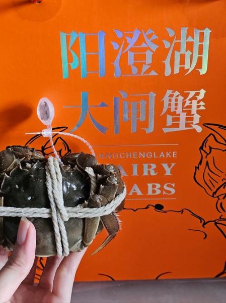 阳澄湖大闸蟹哪里买_正宗渠道推荐-第1张图片-山城妙识
