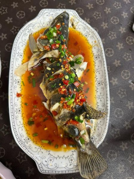 清蒸鲑鱼怎么做_清蒸鲑鱼蒸多久-第1张图片-山城妙识 清蒸鲑鱼怎么做_清蒸鲑鱼蒸多久-第1张图片-山城妙识