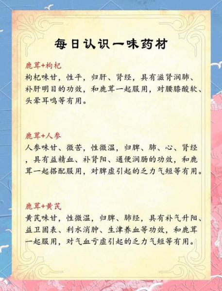 鹿松茸图片大全_鹿松茸的功效与作用-第1张图片-山城妙识