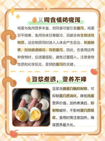 鸡蛋和什么不能一起吃有毒_鸡蛋相克食物真相-第1张图片-山城妙识 鸡蛋和什么不能一起吃有毒_鸡蛋相克食物真相-第1张图片-山城妙识