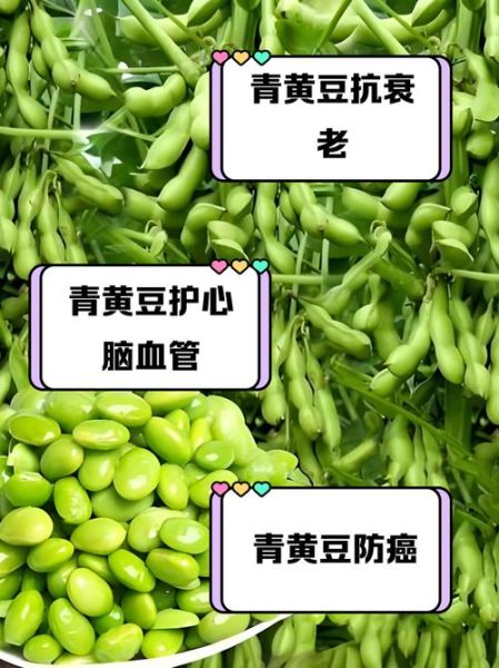 新鲜青豆的营养价值_青豆的功效与作用-第1张图片-山城妙识