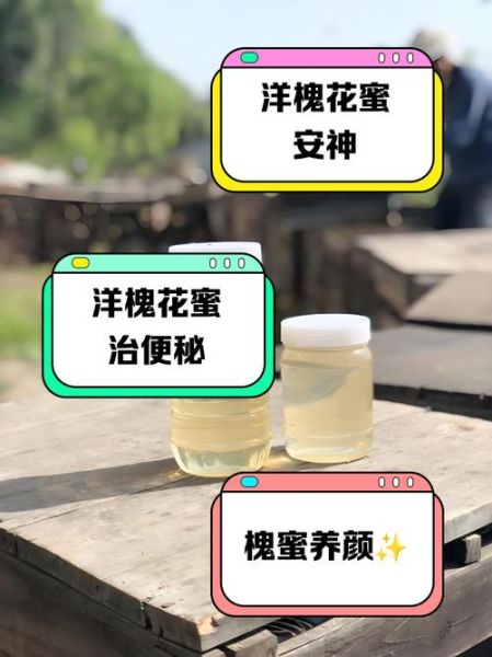 槐花蜜的功效与作用_槐花蜜的正确吃法-第2张图片-山城妙识 槐花蜜的功效与作用_槐花蜜的正确吃法-第2张图片-山城妙识