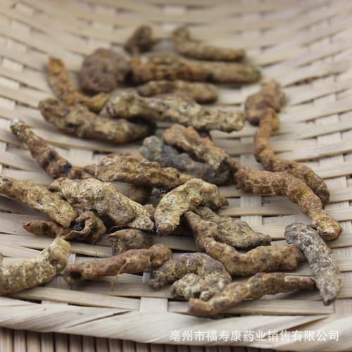 炒僵蚕的功效与作用_炒僵蚕的禁忌有哪些-第3张图片-山城妙识