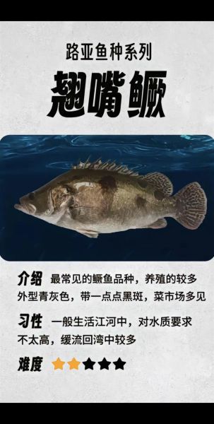 鳜鱼为什么贵_鳜鱼价格高的原因-第2张图片-山城妙识