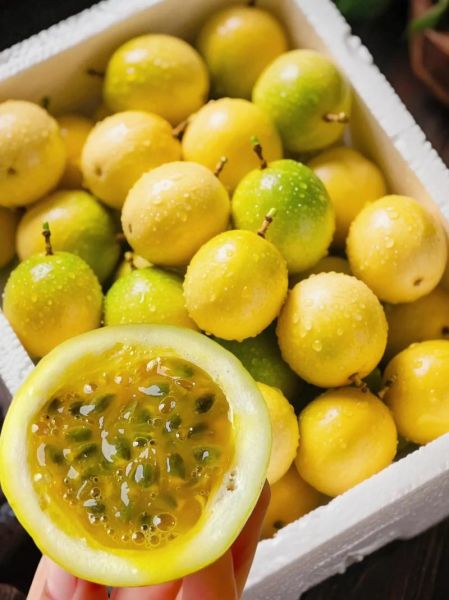 百香果多少钱一斤2020_2020年百香果价格走势-第3张图片-山城妙识 百香果多少钱一斤2020_2020年百香果价格走势-第3张图片-山城妙识