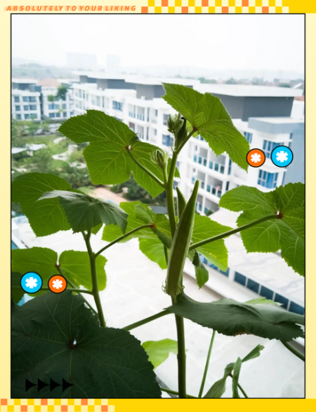 秋葵视频软件下载免费_秋葵视频怎么用-第3张图片-山城妙识