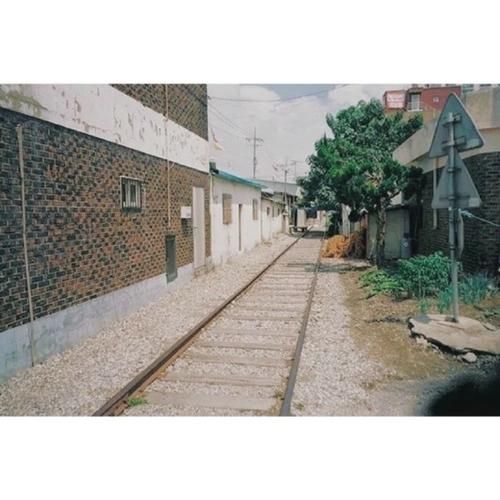 豆花之歌青尢歌词含义_豆花之歌青尢创作背景-第2张图片-山城妙识