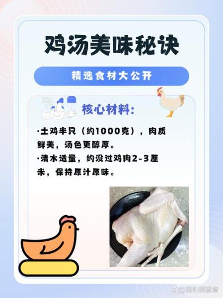 鸡汤怎么烧才好吃_鸡汤去腥增香的秘诀-第2张图片-山城妙识