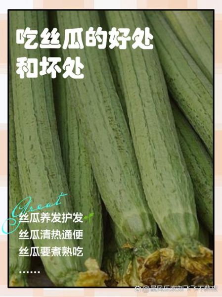 女性吃丝瓜的好处和坏处_丝瓜对女性的影响有哪些-第2张图片-山城妙识