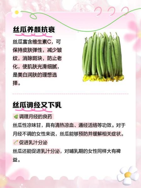 女性吃丝瓜的好处和坏处_丝瓜对女性的影响有哪些-第3张图片-山城妙识