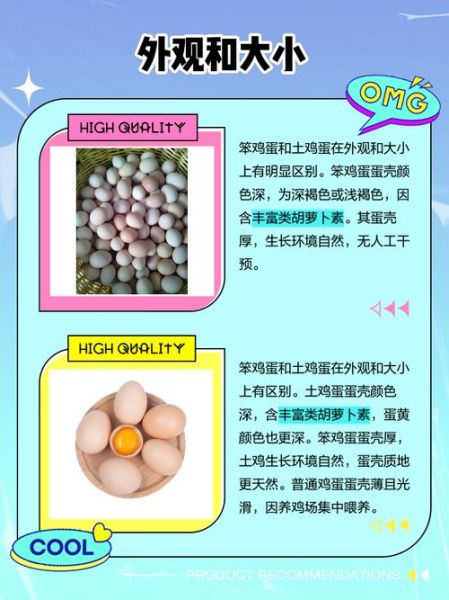 笨鸡蛋和土鸡蛋的区别_哪个营养价值更高-第2张图片-山城妙识