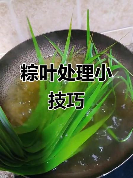 煮粽子叶要煮多长时间_粽子叶煮多久才软-第2张图片-山城妙识