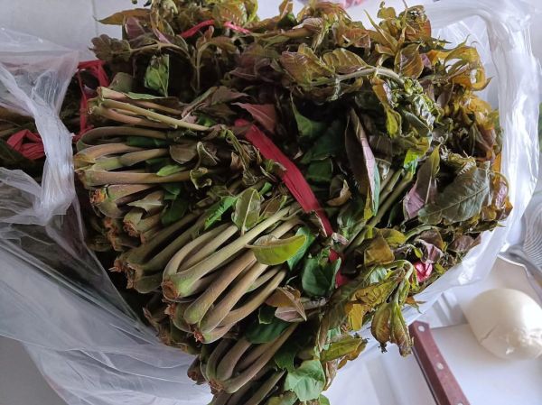 香椿芽怎么腌制_香椿芽腌制后如何长期保存-第1张图片-山城妙识