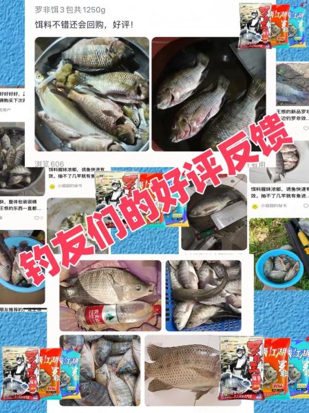 钓大罗非用什么饵料_钓大罗非饵料配方-第3张图片-山城妙识