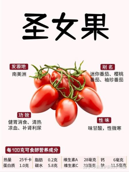番茄的营养价值有哪些_番茄怎么吃最营养-第3张图片-山城妙识