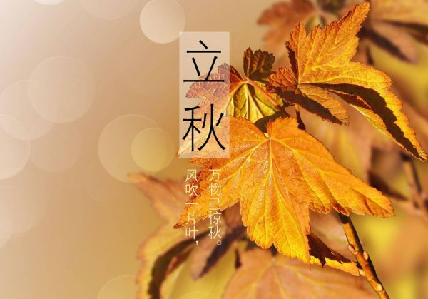 立秋景色大图怎么拍_立秋摄影构图技巧-第2张图片-山城妙识