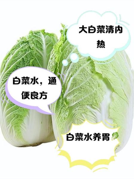 清水白菜是哪里的名菜_正宗做法揭秘-第2张图片-山城妙识 清水白菜是哪里的名菜_正宗做法揭秘-第2张图片-山城妙识