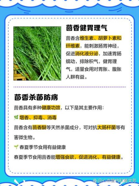 茴香酒有什么功效_茴香酒怎么喝才养生-第2张图片-山城妙识