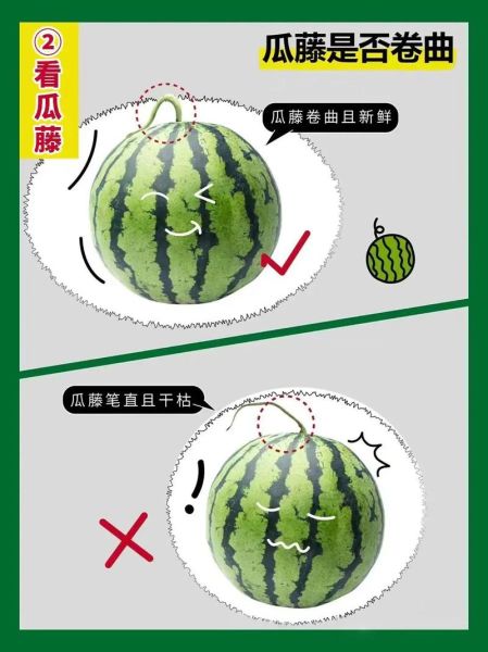 怎么挑西瓜才甜_西瓜挑选技巧有哪些-第3张图片-山城妙识