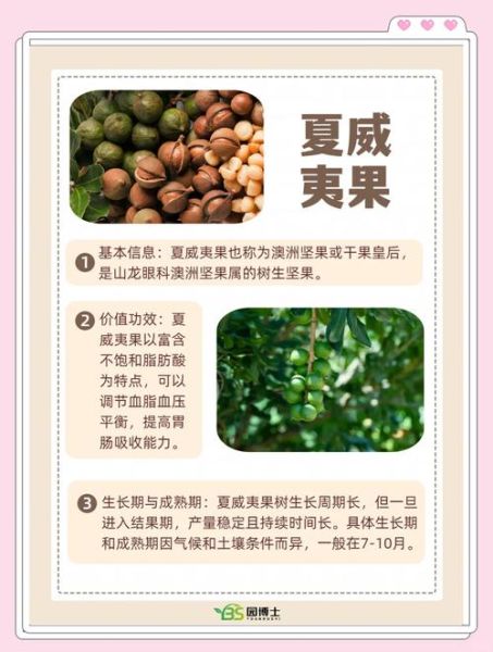 坚果类有哪些_坚果种类大全及功效-第3张图片-山城妙识