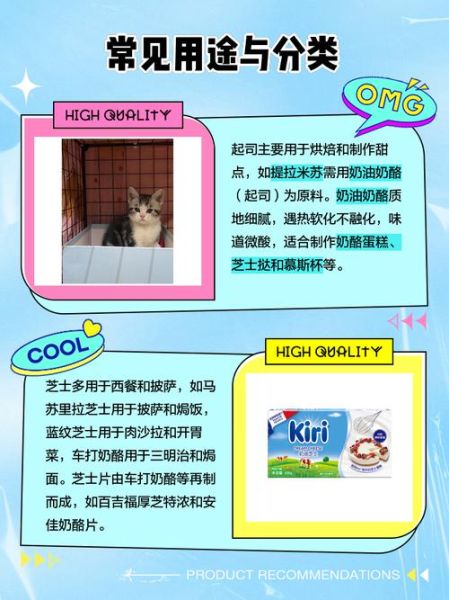 起司蛋糕是芝士蛋糕吗_区别与做法-第2张图片-山城妙识