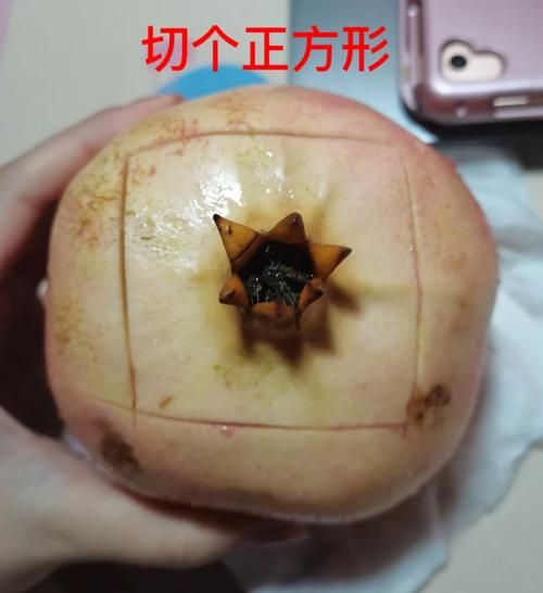 石榴怎么开_开石榴小妙招-第2张图片-山城妙识 石榴怎么开_开石榴小妙招-第2张图片-山城妙识