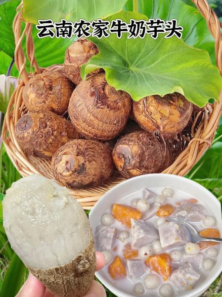 芋头蒸还是煮_哪种做法更软糯-第1张图片-山城妙识 芋头蒸还是煮_哪种做法更软糯-第1张图片-山城妙识