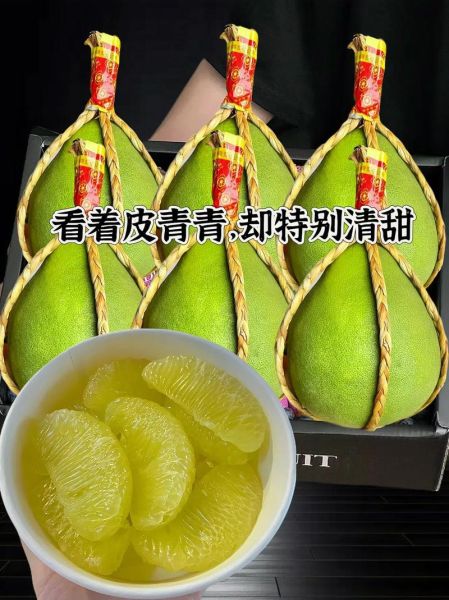 柚子英文怎么读_yuzu发音详解-第1张图片-山城妙识