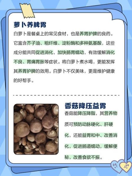 养胃蔬菜有哪些_24种蔬菜怎么选-第3张图片-山城妙识 养胃蔬菜有哪些_24种蔬菜怎么选-第3张图片-山城妙识