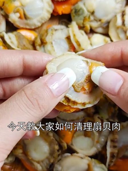 扇贝肉怎么清理内脏图解_扇贝内脏清理步骤-第3张图片-山城妙识 扇贝肉怎么清理内脏图解_扇贝内脏清理步骤-第3张图片-山城妙识